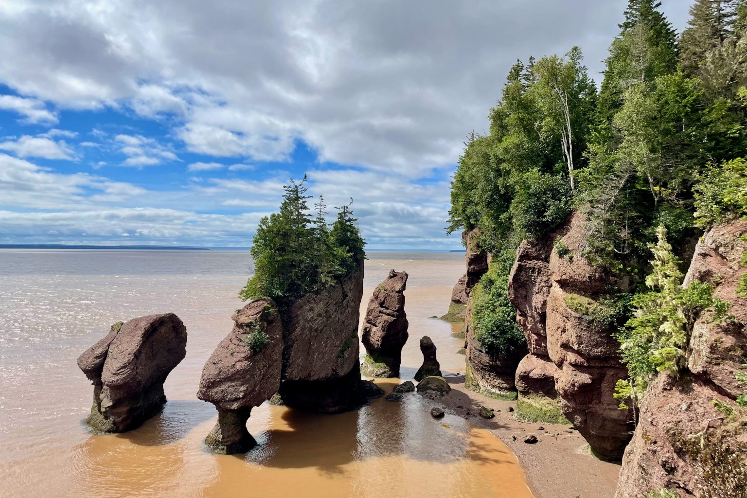 Hopewell Rocks Provincial Park, NB - Reisen in Kanada